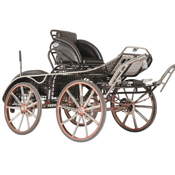 Glinkowski Falcon 220