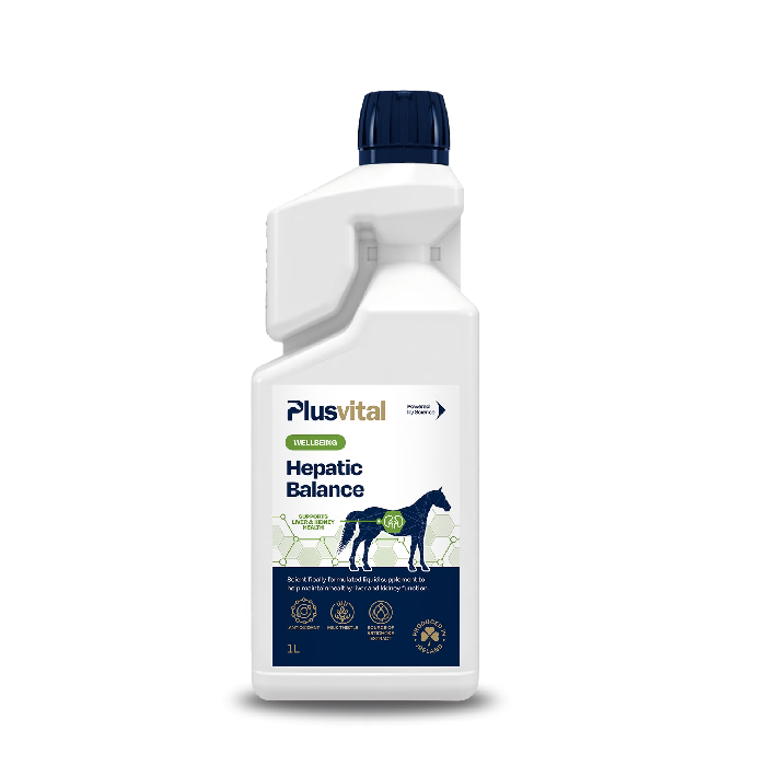 PlusVital Hepatic Balance | Sunn lever- og nyrefunksjon
